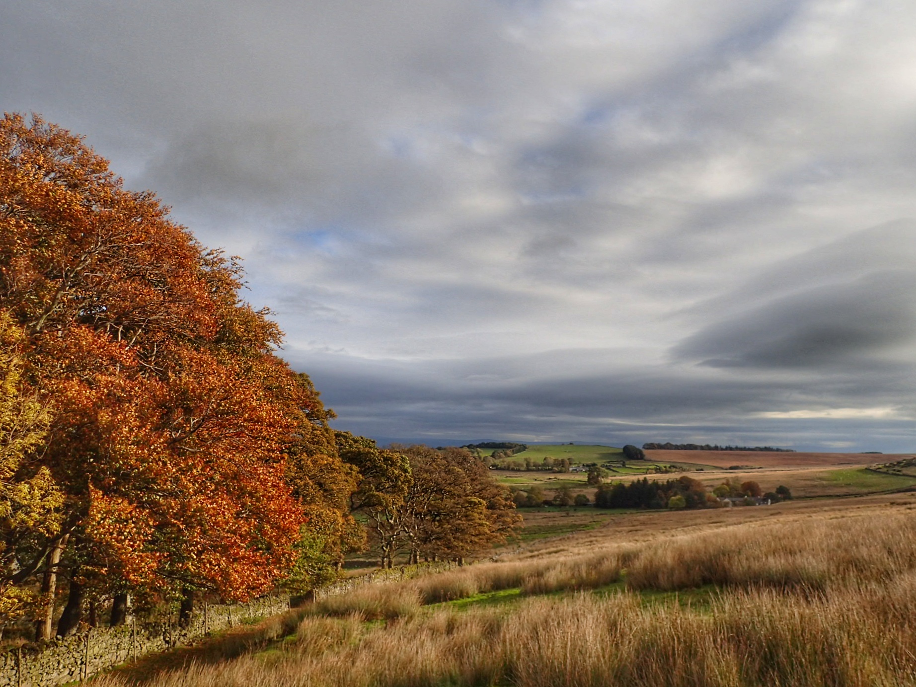Caldbeck Fells – Out & About