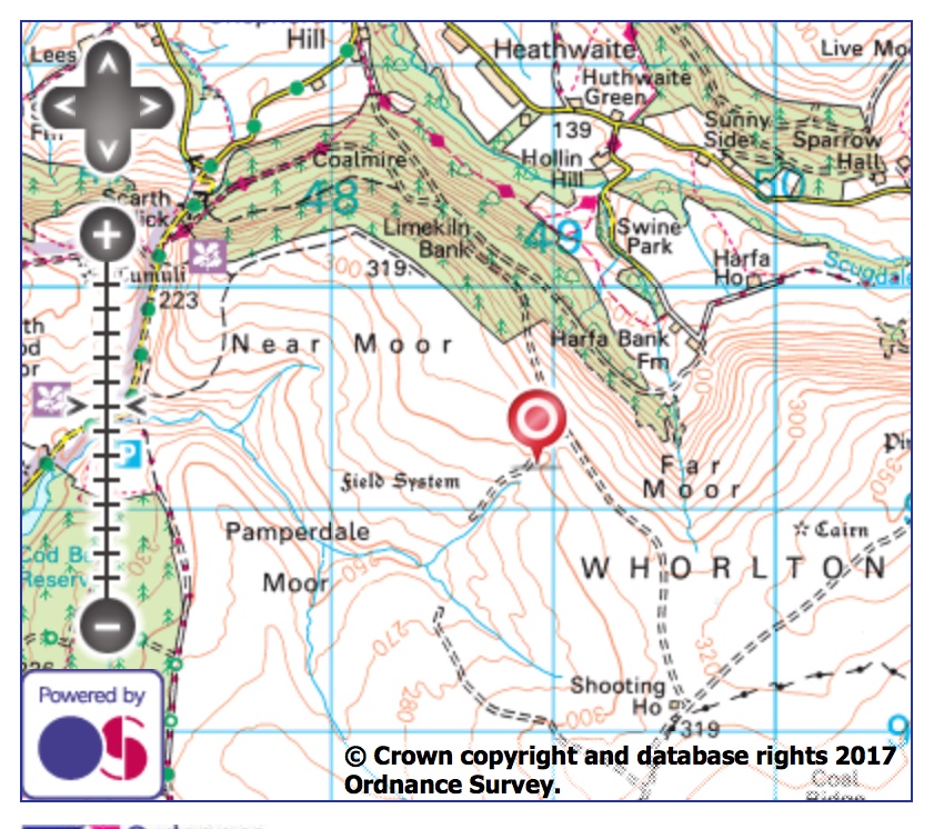 Holy Well Gill – Out & About