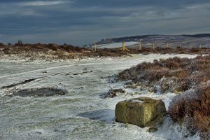Percy Cross – Out & About