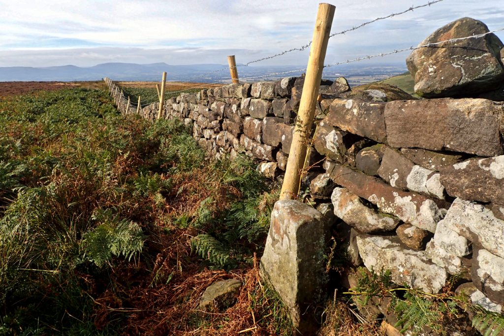 Boundary stone, Ryston Bank – Out & About