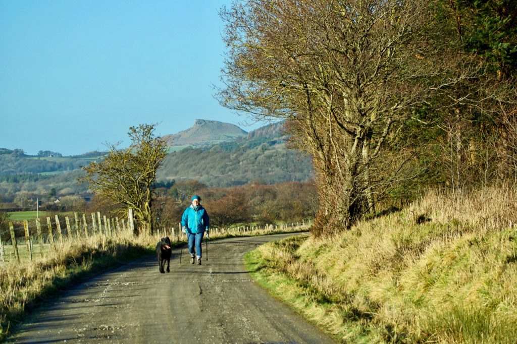 Roseberry from the old railway at Bank Foot – Out & About