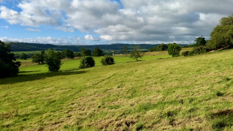 Upleatham Park – Out & About