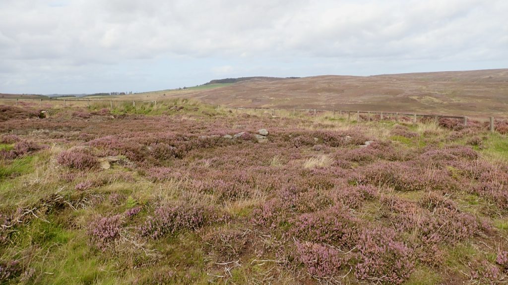 Percy Rigg Hut Circles – Out & About
