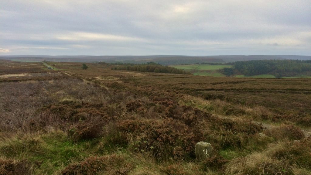 Percy Cross Rigg – Out & About