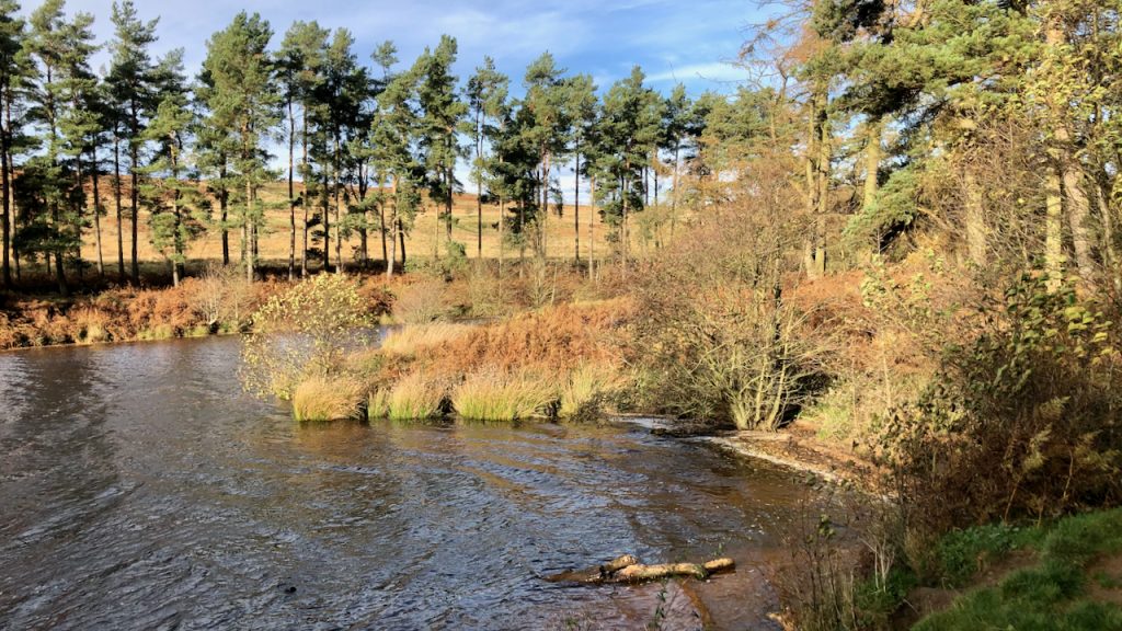 Cod Beck Reservoir – Out & About